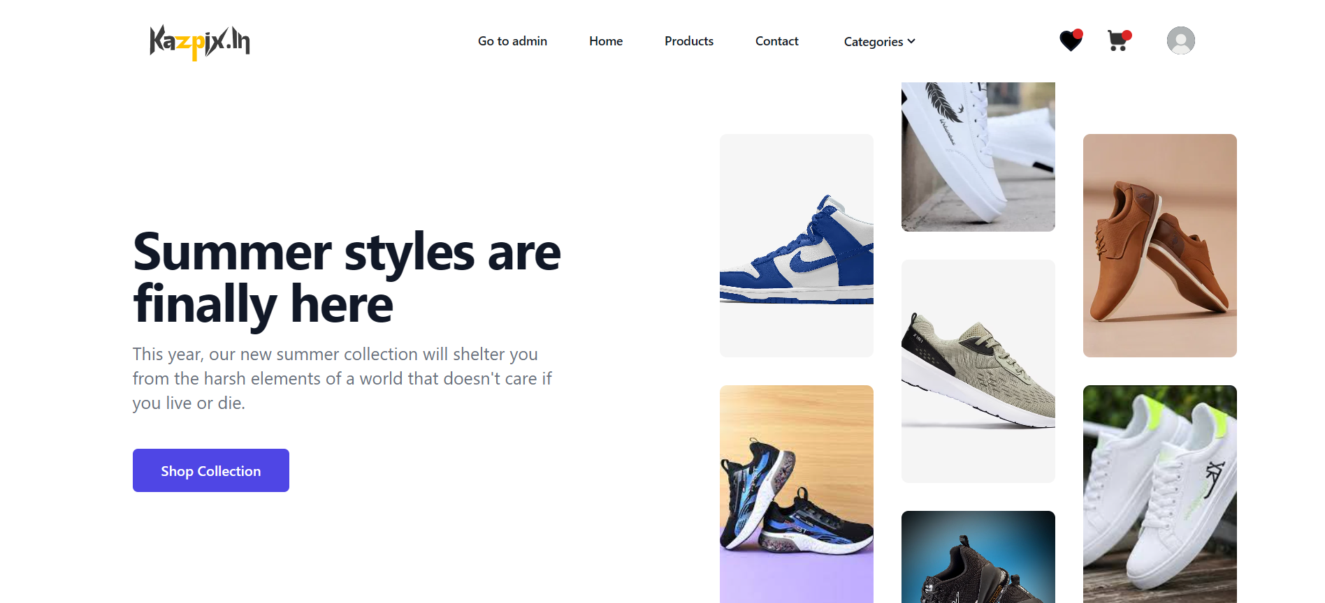 Muhammed Hashir Musthafa